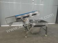 China 240 KG Automatic CE Certificate Vegetable Carrot Sweet Potato Soaking Elevator for Fruit and Vegetables for sale