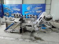 China 240 KG Automatic CE Certificate Vegetable Carrot Sweet Potato Soaking Elevator for Fruit and Vegetables for sale