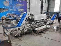 China 240 KG Automatic CE Certificate Vegetable Carrot Sweet Potato Soaking Elevator for Fruit and Vegetables for sale