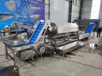 China 304 Stainless Steel Automatic Sweet Potato Yam Washing Machine Peeling Production Line for sale