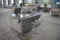 China Commercial Kitchen 500 kg/h Sand Blasting Surface Fruit and Vegetable Washing Machine for sale