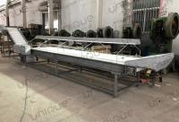 China Plum Nuts Palm Dates Inspection Conveyor Made of 304 Stainless Steel for Your Benefit for sale