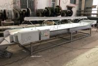 China Plum Nuts Palm Dates Inspection Conveyor Made of 304 Stainless Steel for Your Benefit for sale