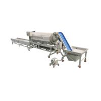 China Sweet Potato Peeling and Washing Machine for Commercial Voltage 220v/380v/Customized for sale