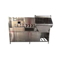 China Video Technical Support Stainless Steel 304 Apple Peeler Coring Machine for Industrial for sale