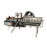 China Stainless Steel 4.4KW Cabbage Washing Machine for Vegetable and Salad Sterilization for sale