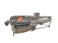 China Stainless Steel 4.4KW Cabbage Washing Machine for Vegetable and Salad Sterilization for sale