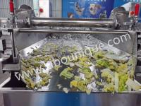 China Stainless Steel 4.4KW Cabbage Washing Machine for Vegetable and Salad Sterilization for sale