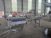 China Stainless Steel 4.4KW Cabbage Washing Machine for Vegetable and Salad Sterilization for sale