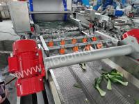 China Stainless Steel 4.4KW Cabbage Washing Machine for Vegetable and Salad Sterilization for sale