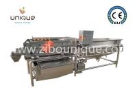 China Professional Grade Fruit and Vegetable Washing Machine for Large Scale Production for sale