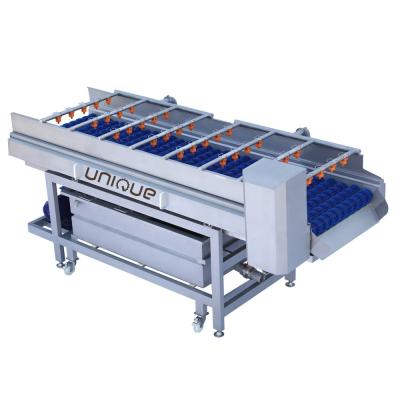 China Mango Brush Cleaning Machine for Pear Apple Carrot Mud Cleaning 3000*1250*1350 mm for sale