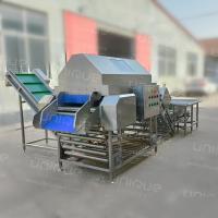 China Onion Peeling Machine for Root Vegetables Industrial Dry Onions Skinning Equipment for sale