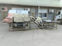 China Onion Peeling Machine for Root Vegetables Industrial Dry Onions Skinning Equipment for sale
