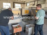 China Apple Peeler for Perfectly Sliced Pear and Kiwifruit Pieces in One Machine for sale
