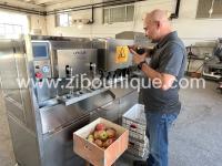 China Apple Peeler for Perfectly Sliced Pear and Kiwifruit Pieces in One Machine for sale
