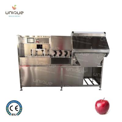 China Stainless Steel 304 Electric Automatic Feuma Potato and Apple Peeler Machine for Year 2022 for sale