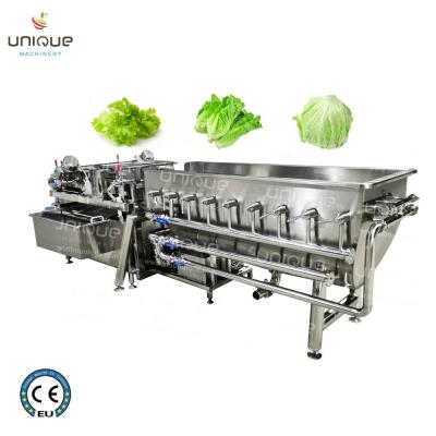 China CE Certified Salad Lettuce Washer Washing Machine for Fresh and Clean Produce for sale
