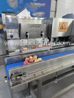 China Customized Voltage 304 Stainless Steel Apple and Pear Peeling and Coring Cutting Machine for sale