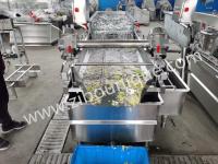 China Retail 304 Stainless Steel Lettuce Salad Washer with 4.26 kW Power and CE Certificate for sale