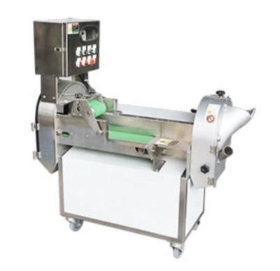 China Highly Versatile Fruit and Leaf Vegetable Slice Machine with 220v/customized Voltage for sale