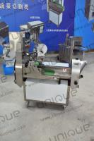 China Highly Versatile Fruit and Leaf Vegetable Slice Machine with 220v/customized Voltage for sale