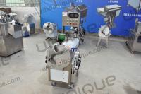 China Highly Versatile Fruit and Leaf Vegetable Slice Machine with 220v/customized Voltage for sale