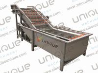 China RQF Frozen Food Production Line Washing Sterilizing and Freezing in One Solution for sale