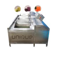 China Sand Blasting Surface Fruit and Vegetable Batch Washer for Style Salad Washing Machine for sale