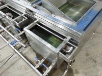 China 1000kg/h Industrial Tomato Washing Machine Corn Fruit Washer Vegetable Onion Washer Cleaning Machine for sale