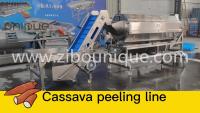 China Stainless Steel 304 Continuous Root Vegetable Peeling Machine for Washing and Peeling for sale