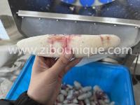 China Hotels' Top Pick Automatic Continuous Brush Potato Peeling Line with 1040 KG Capacity for sale