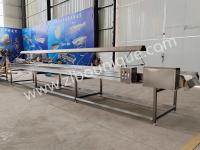 China Lamp Sorting Conveyor For Fruit Orange Onion Apple Waste Selection for sale