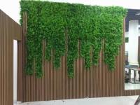 China 219x26mm Co-Extrusion WPC Wall Panel for Outdoor Use with 15-20 Year Warranty and -40°C to 60°C Temperature Range for sale