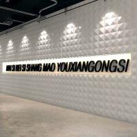 China 3D PVC Wall Panel 500×500mm & 300×300mm Sizes - Waterproof Fire-Resistant Interior Decoration for sale