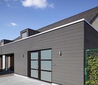 China Wpc Wall Cladding Building Exterior Decoration Wood Substitute Wpc Wall Panel for sale