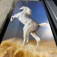China 4*8 Ft UV PVC Marble Sheet Waterproof Hot Stamping/3D Printed Indoor Panels UV Boards for sale