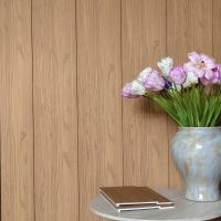 China Waterproof ECO-Friendly Easy-installation WPC Wall Panel for Indoor Decoration for sale