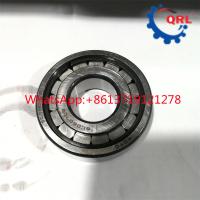 China OEM Cylindrical Roller Bearing SC060702 C VE C3  28x60x18MM for sale