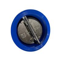 China ANSI Standard Silver Ductile Iron Wafer Type PVC 4inch 8inch Flap Type Check Valve for sale
