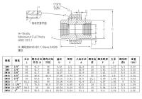China Equal Forged Stainless Steel 304 316 316L High Pressure Socket Weld Union 1
