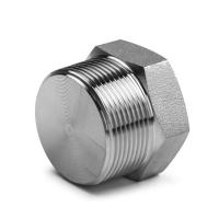 China Silver Forged High Pressure NPT Male Hex Plug For Stainless Steel 304 316 316L for sale