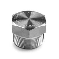 China Silver Forged High Pressure NPT Male Hex Plug For Stainless Steel 304 316 316L for sale