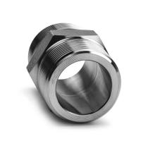 China SS304 316 316L High Pressure Forged Hex Nipple 300 bar Male Thread Equal/Reducing Nipple for sale
