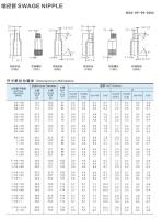China General Stainless Steel 304 316 316L Forged Eccentric Swaged Nipple 1/2