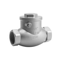 China WZ SS 304 316 CF8 CF8M Cylindrical Non-Return Swing Check Valve 200WOG 1/2