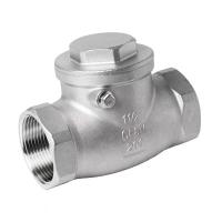 China WZ SS 304 316 CF8 CF8M Cylindrical Non-Return Swing Check Valve 200WOG 1/2