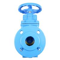 China Hexagon Head PN10 PN16 Soft Seal Flange Ductile Iron Gate Valve for sale