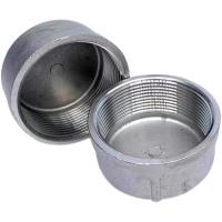 China Customized Support ODM Round End Plug Pipe Fittings for WZSS 201 304 316 NPT BSP Threaded for sale