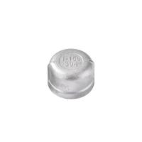China Customized Support ODM Round End Plug Pipe Fittings for WZSS 201 304 316 NPT BSP Threaded for sale